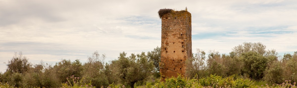 Torre de Val-Boim – Torres, castillos y fortalezas