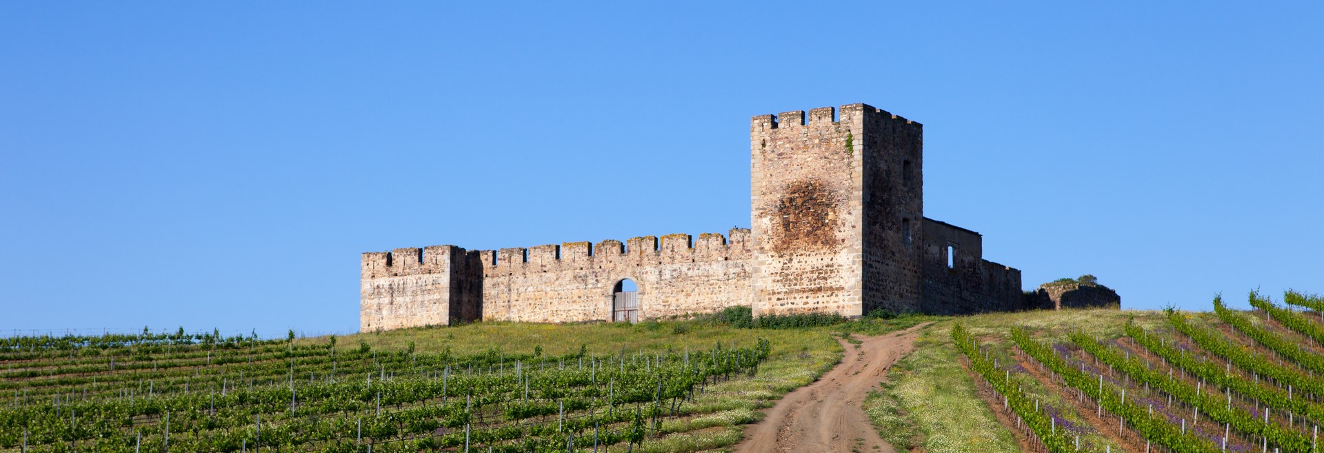 Castelo de Valongo – Torres, castillos y fortalezas