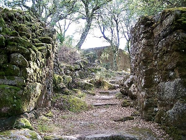 Castelo de Faria (Barcelos) – Torres, castillos y fortalezas